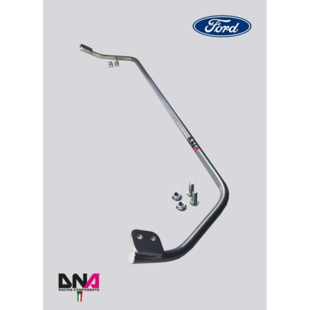 Ford Fiesta Mk7 (08-17)-DNA rear torsion bar spring steel Ø 22mm kit